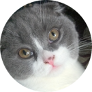 Melbourne Family Lawyers | Best Family Lawyers for 2023